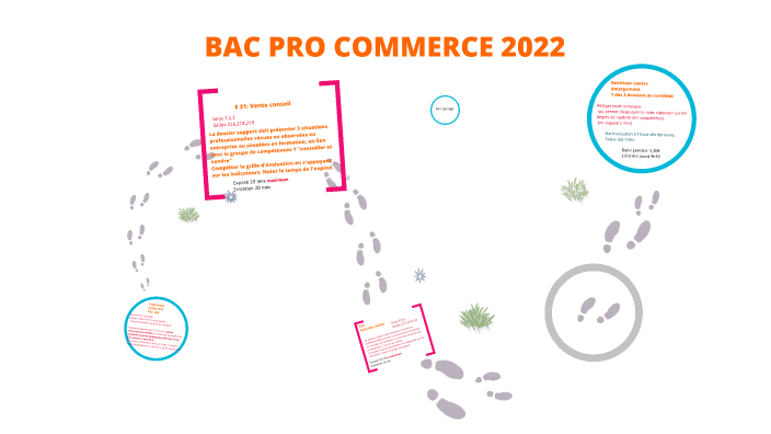 Bac Pro MCV-A 2022 by corinne desmons on Prezi