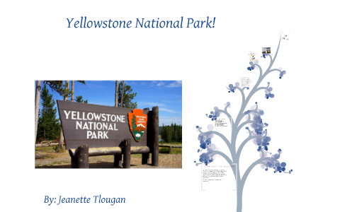 Yellowstone Science Project by Jeanette Tlougan on Prezi