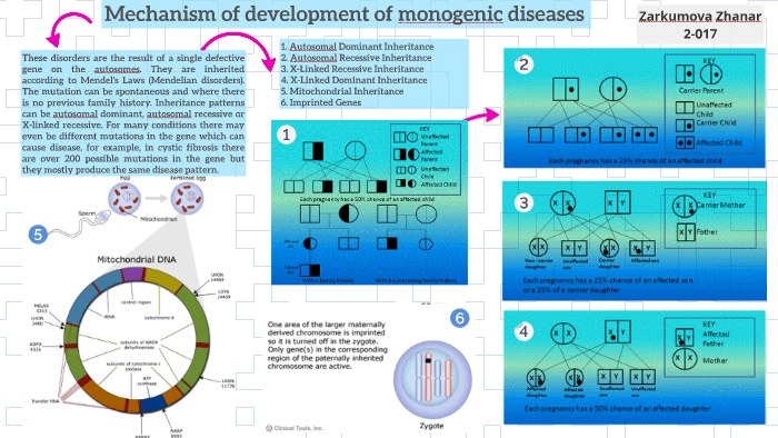 Mechanism of development of monogenic diseases by Sarah Abilkhairova on ...