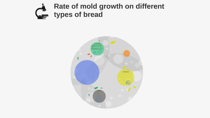 Rate of mold growth on different types of bread by Eliza Monacella on Prezi