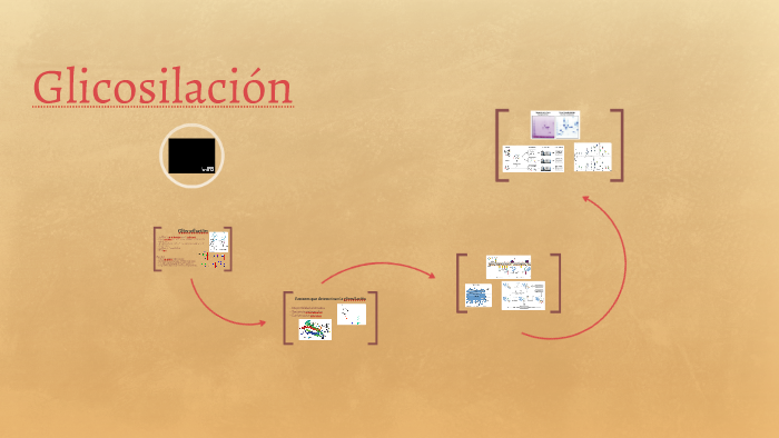 Glicosilación by Erick Espinosa on Prezi