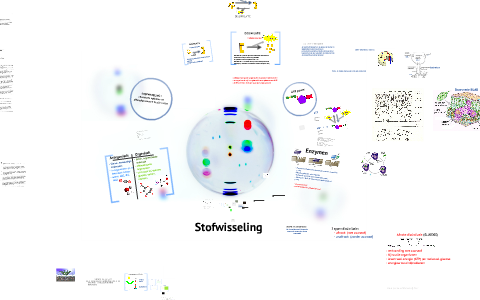 Brouwers Thema 1: STOFWISSELING 5H by Lisette Brouwers on Prezi