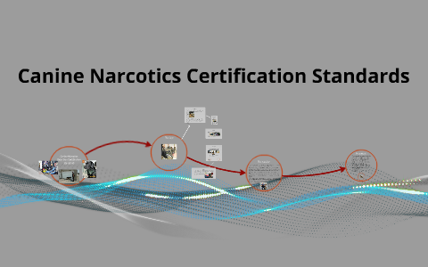 Canine Narcotics Detection Certification Standards by sarah willcockson ...