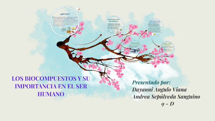 LOS BIOCOMPUESTOS Y SU IMPORTANCIA EN EL SER HUMANO by Andrea Sepúlveda ...