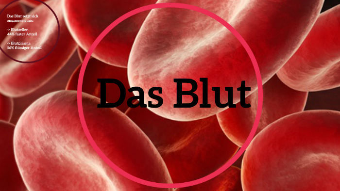 Das Blut by dominik fink on Prezi