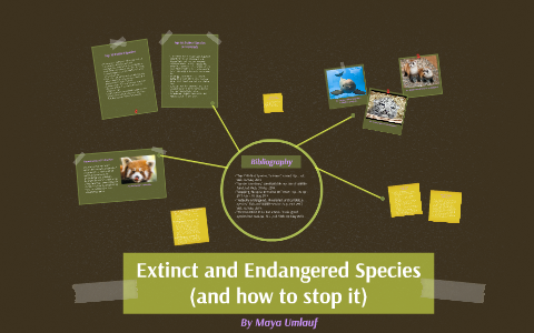 Extinct and Endangered Species (and how to stop it) by maya umlauf on Prezi