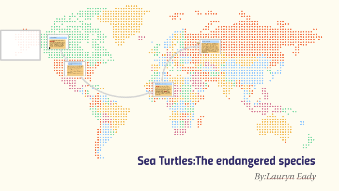Sea Turtles:The endangered species by lauryn eady on Prezi