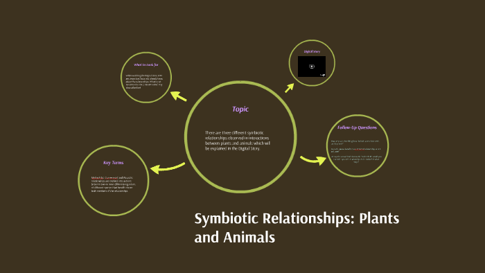 Symbiotic Relationships: Plants and Animals by Tina Le on Prezi