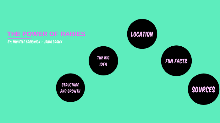 Rabies by michelle errickson on Prezi