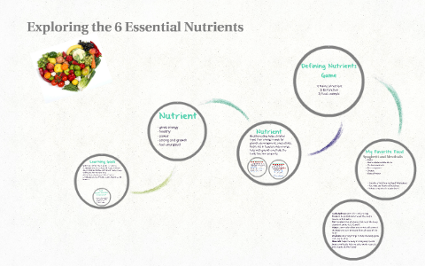 Exploring the 6 Essential Nutrients by york assign