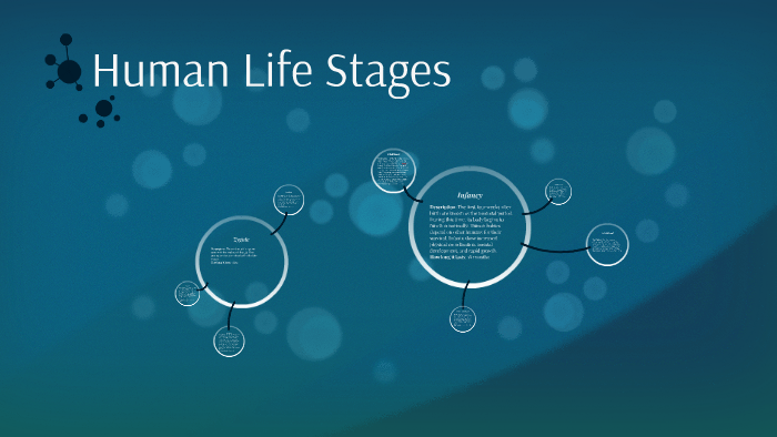 Human Life Stages by Paula Chung on Prezi