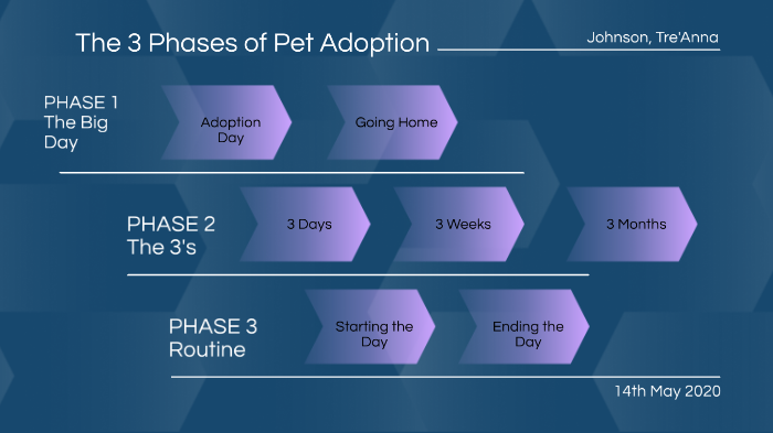 Phases Of Adoption By Treanna Johnson On Prezi
