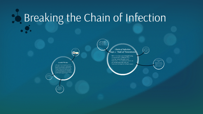 Breaking the Chain of Infection by Julian Armstrong on Prezi