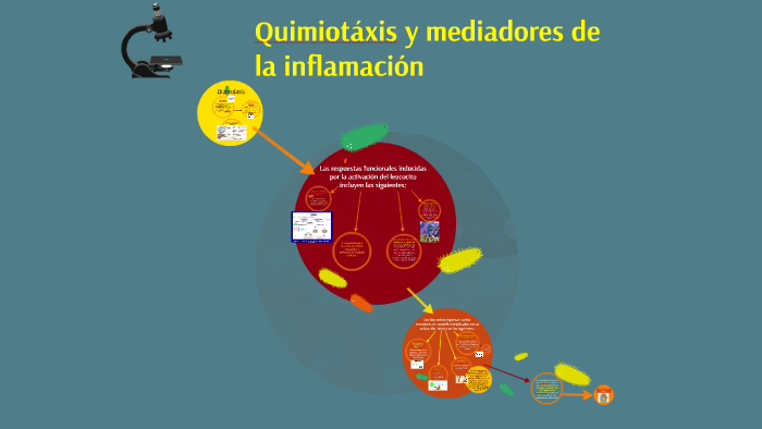 Quimiotáxis y mediadores de la inflamación by ce herca on Prezi