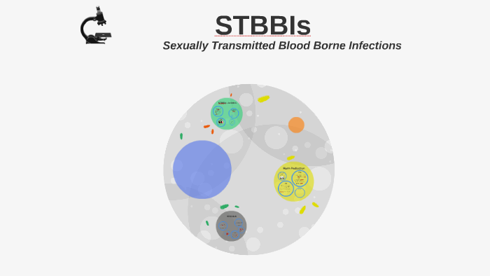STBBIS by Ecology Bob on Prezi