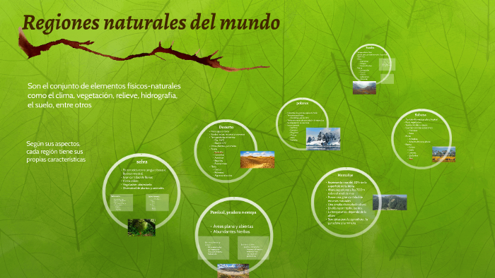 Regiones naturales del mundo by gisselle sanjuan on Prezi