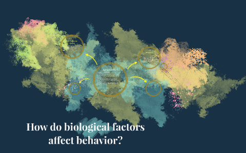 How do biological factors affect behavior? by Tricia Renk on Prezi