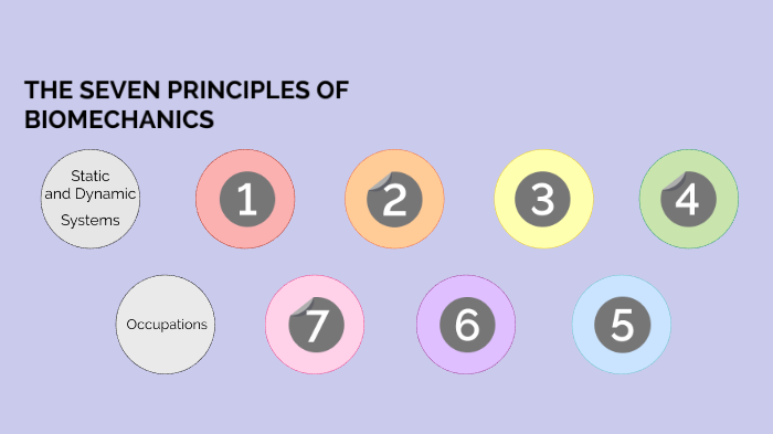 The Seven Principles of Biomechanics by salena parso on Prezi