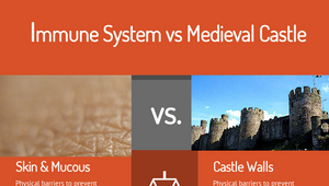 Immune System vs Medieval castle by Erin Kelley on Prezi Design