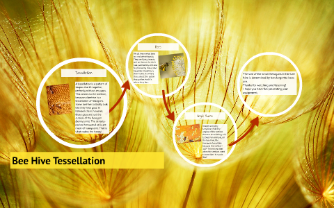 Bee Hive Tesselation by Yulahra Habgood-Williams on Prezi