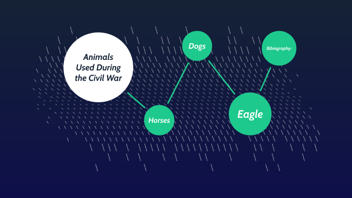 Animals of the Civil War by Sonja Sampson on Prezi