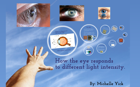 How the eye responds to different light intensity by michelle yick on Prezi
