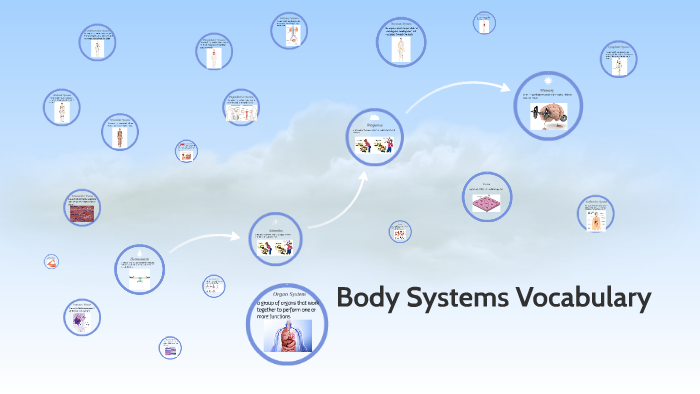 Body Systems Vocabulary by Chris Bierman on Prezi