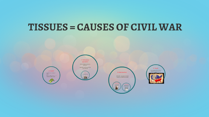 TISSUES = CAUSES OF CIVIL WAR by Hannah Frink on Prezi