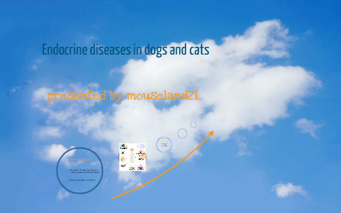 Endocrine diseases in dogs and cats by kk yu on Prezi