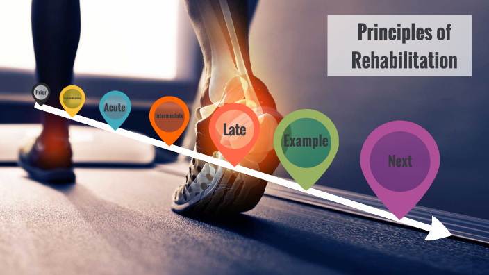 Principles of Rehabilitation by Helen Norris on Prezi