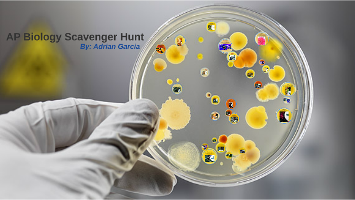 AP Biology Scavenger Hunt by Adrian Garcia on Prezi