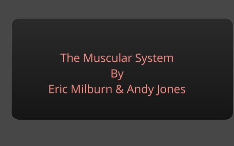 Muscular System by Eric Milburn on Prezi