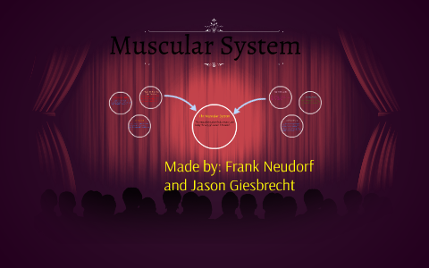 Muscular System by jason giesbrecht on Prezi