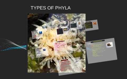 TYPES OF PHYLA by Adaolisa Arazu on Prezi