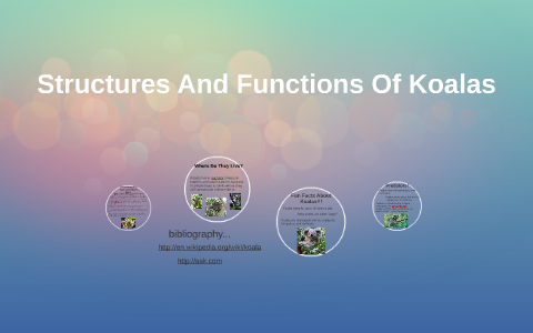 Structures And Functions Of Koalas by igot swag on Prezi