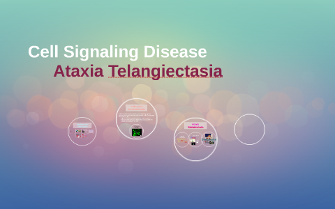 Cell Signaling Disease by Kate McD on Prezi