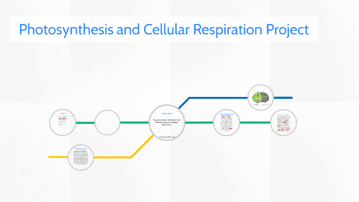 Photosynthesis and Cellular Respiration Project by Tanner Graham on Prezi