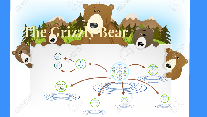 The grizzly bear by Heleen Lin on Prezi