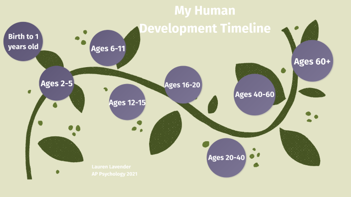 my human development timeline by Lauren Lavender on Prezi