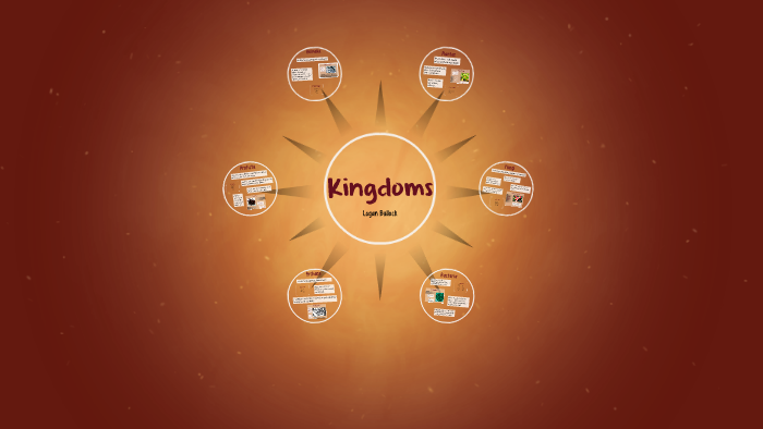 Kingdoms Project by Logan Bullock