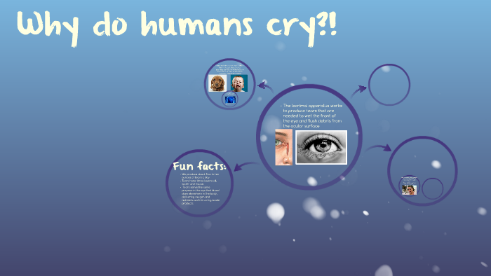 Why do humans cry?! by Samantha Colosio on Prezi