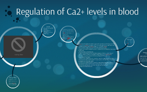 Ca2+ level regulation in blood by nguyen anh on Prezi