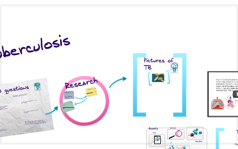 Tuberculosis by Danielle Hoyer on Prezi