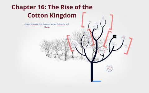 Chapter 16: The Rise of the Cotton Kingdom by Nina Byskosh on Prezi