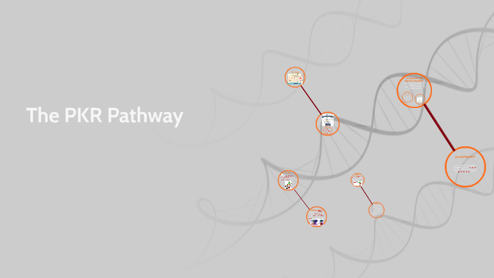 The PKR Pathway by Tim Miller on Prezi