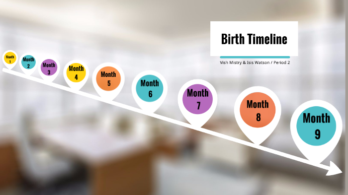 From Conception to Birth Timeline by Visva Mistry on Prezi