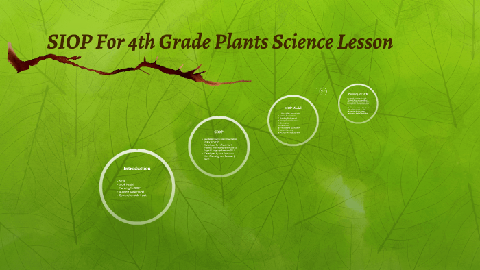 SIOP For 4th Grade Science Lesson by Sher Stewart on Prezi