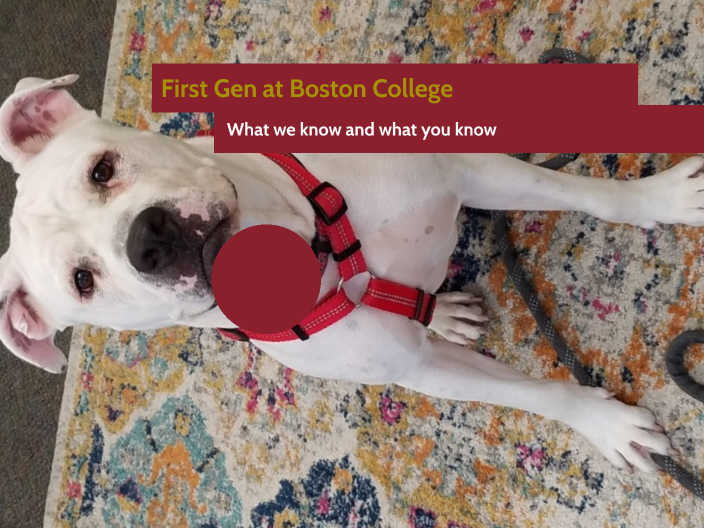 BC Interview Lesson by Ross Merlin on Prezi