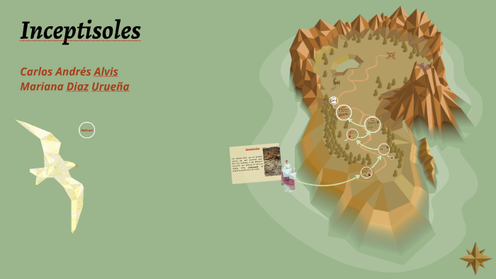 Inceptisoles by pepe pepe on Prezi