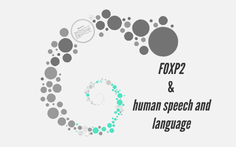 FOXP2 and the evolution of human speech and language by Nipuni S on Prezi
